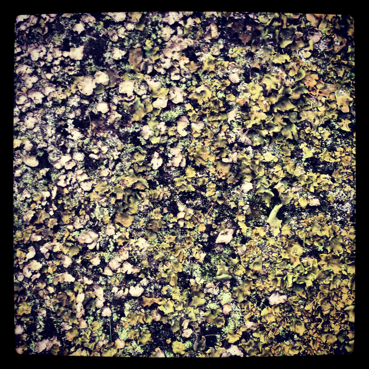 Truth Decay | Truth Decay