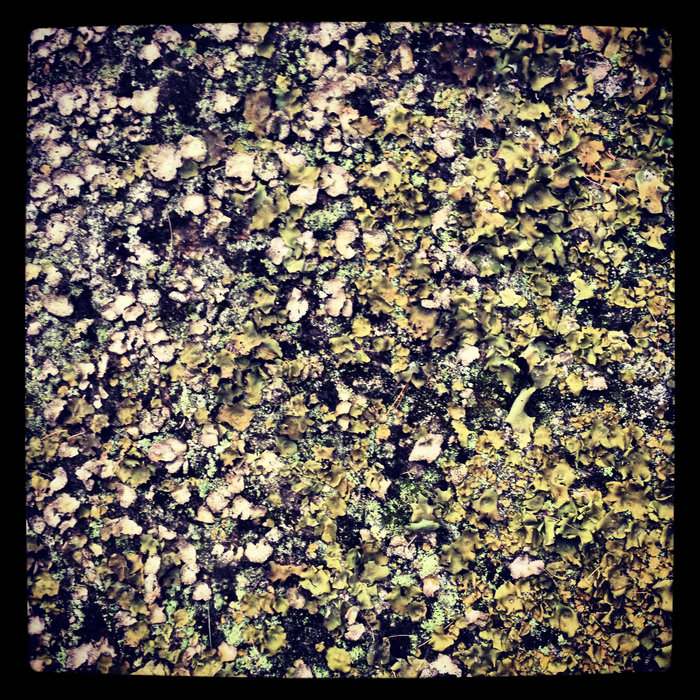 Truth Decay | Truth Decay