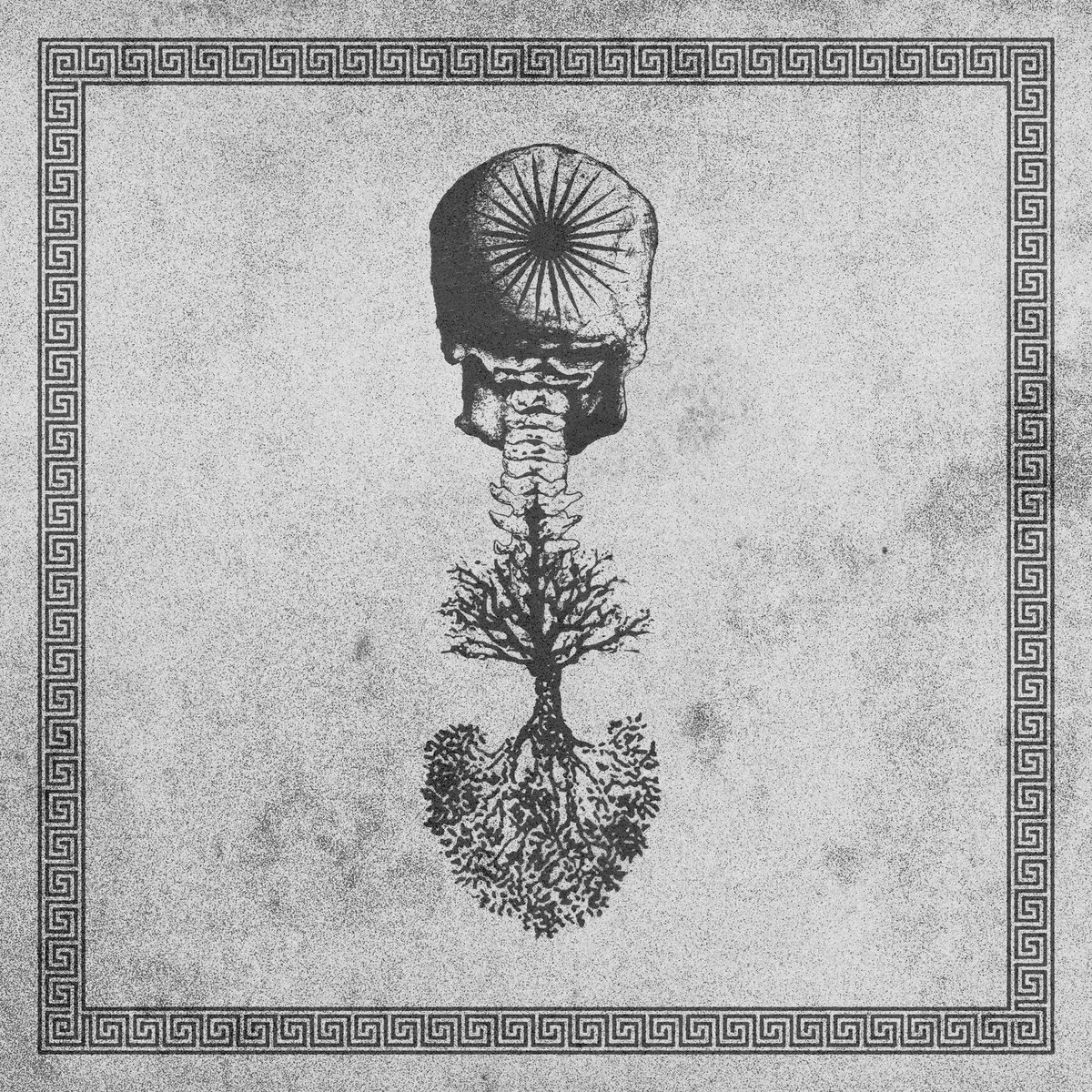 Ashvattha | Ara Solis