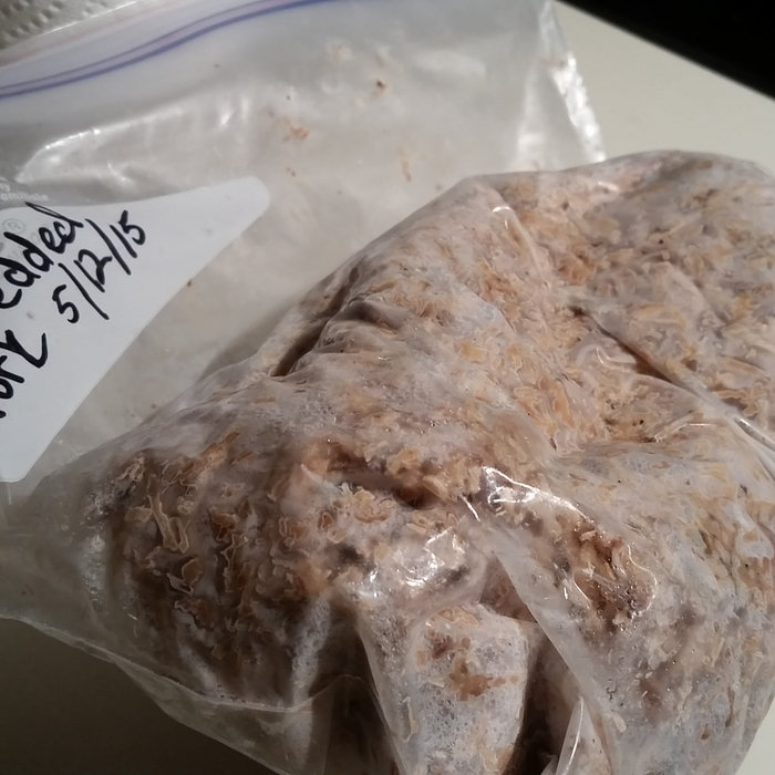 Link Download Film Frozen Subtitle Indonesia | Nancgoldi | tiracceicoro