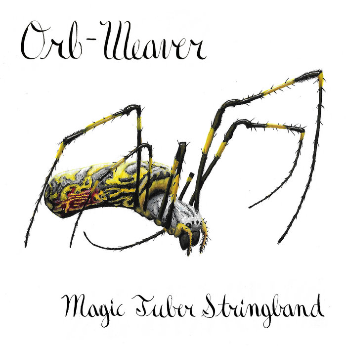 Orb-Weaver | Magic Tuber Stringband
