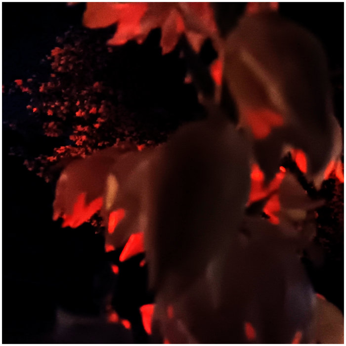 Desecration of the Vainglorious Deific | Limestone Ziggurat