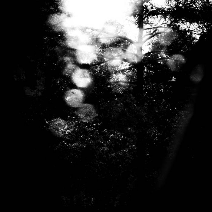 High Quality Photography Tumblr