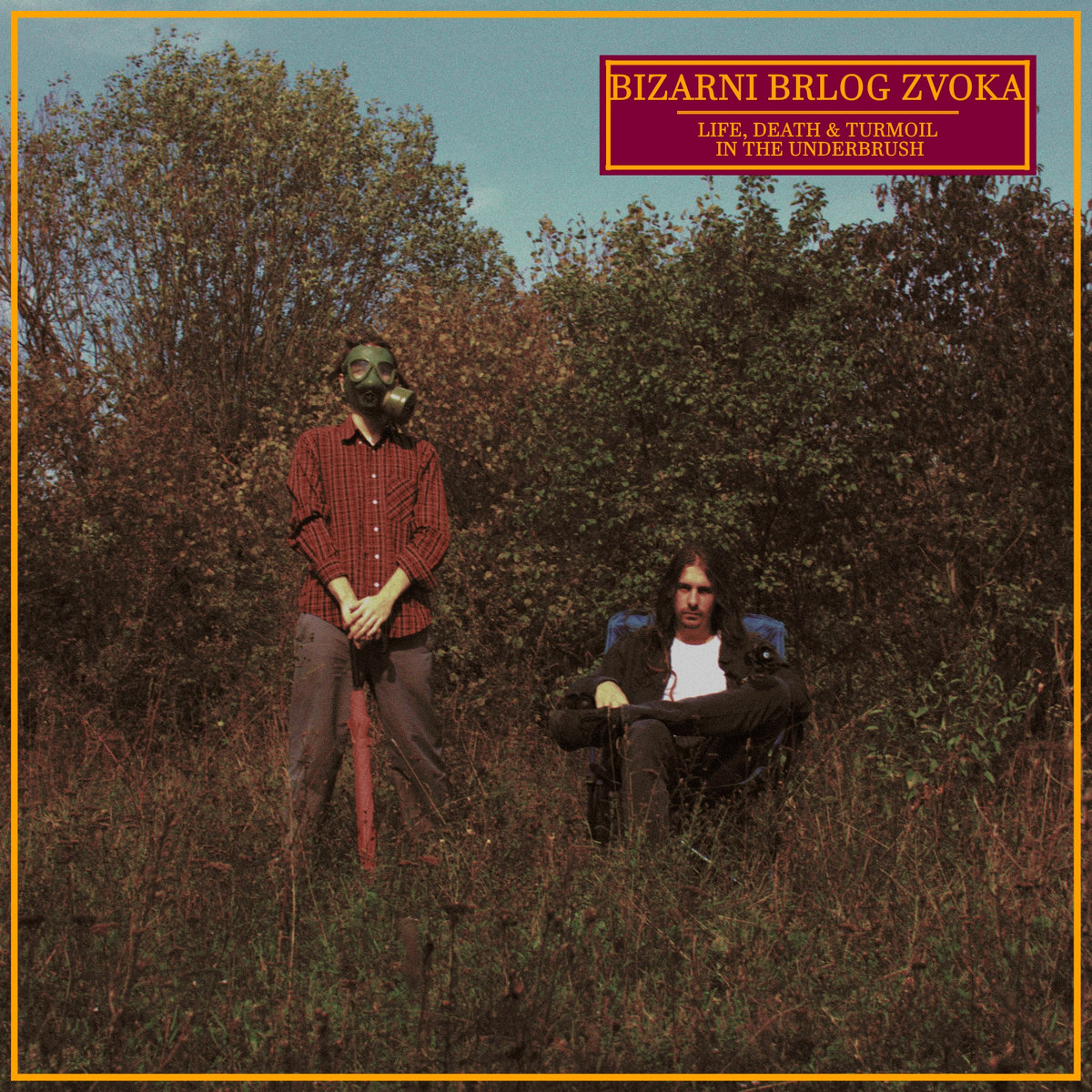 Life, Death & Turmoil in the Underbrush | Bizarni Brlog Zvoka