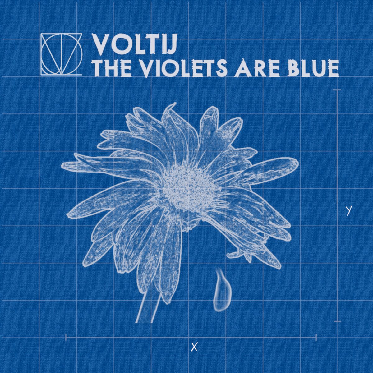 The Violets Are Blue | VOLTIJ