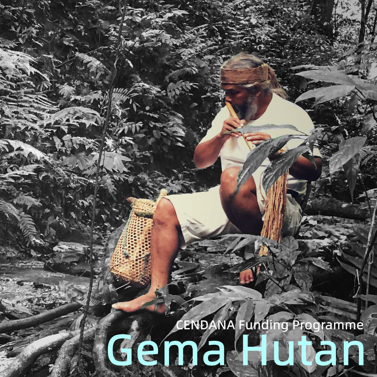 GEMA Hutan | GEMA Bumi