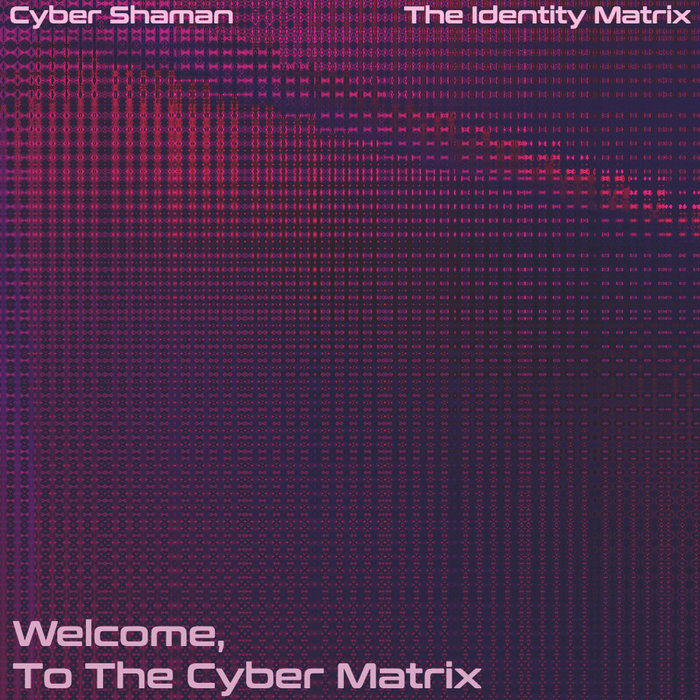 Welcome, To The Cyber Matrix | The Identity Matrix and Cyber Shaman ...