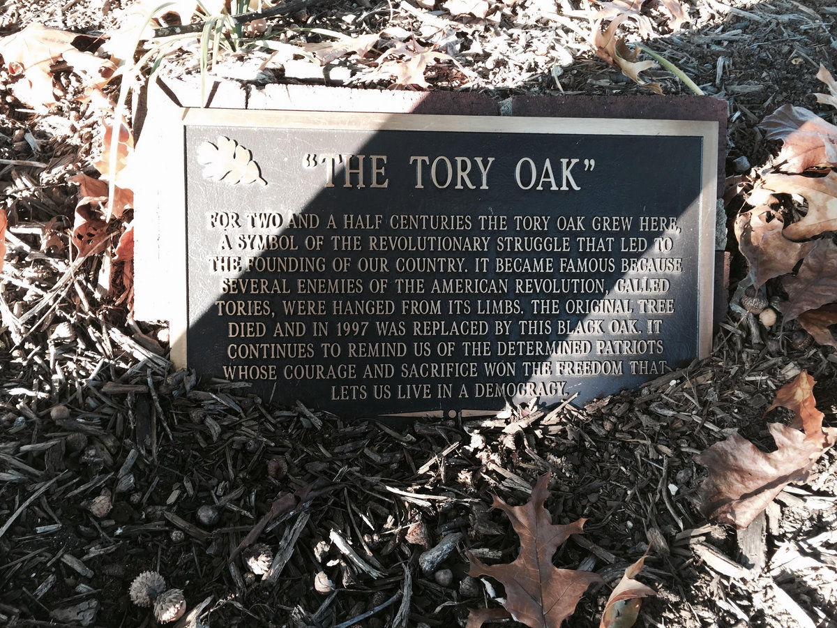 Tory Oak | Thank You