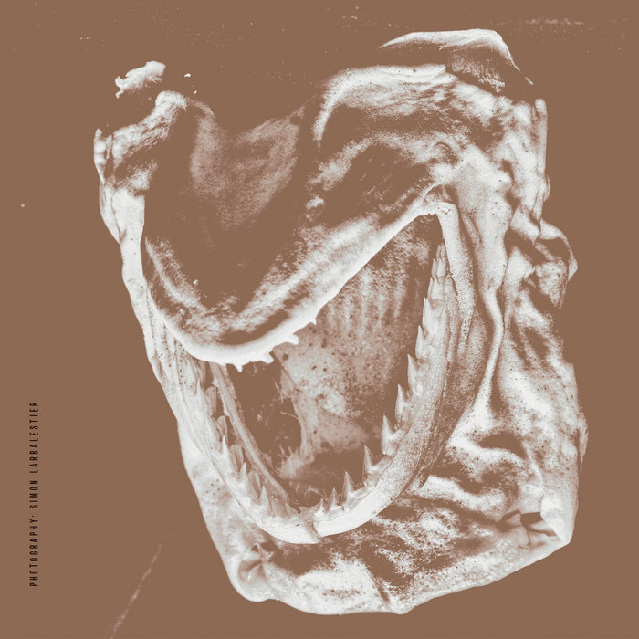 Fantasmagorías | J.G.G. | Tonal Shifts