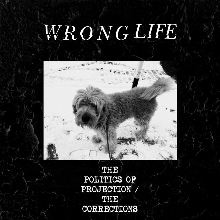 The Politics of Projection / The Corrections | Wrong Life | Limited Fun Records