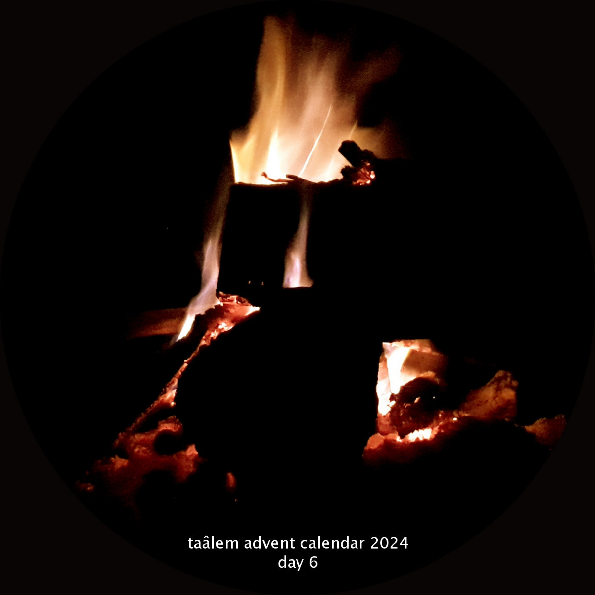 rust (taâlem advent calendar 2024 - day 6) | lecanora | taâlem