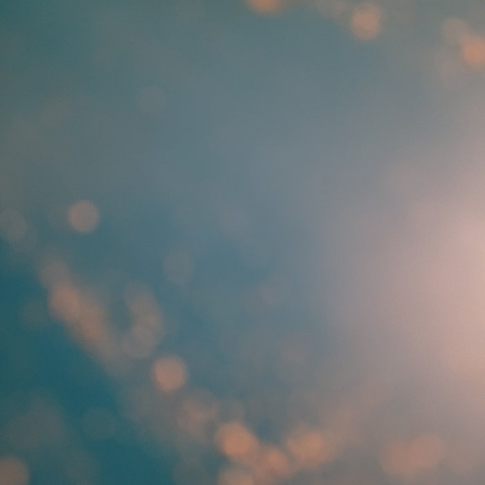 all hallowtide | Mountain Lion