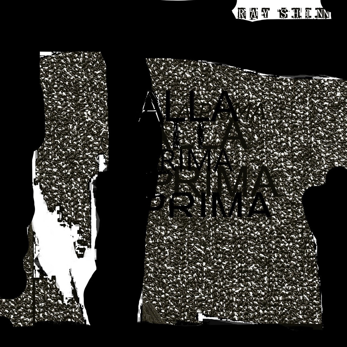 ALLA PRIMA | RAY SHINN