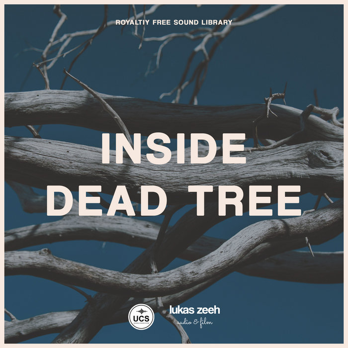INSIDE DEAD TREE | Sound Library | Lukas Zeeh