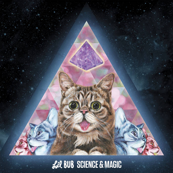 Lil Bub In Space