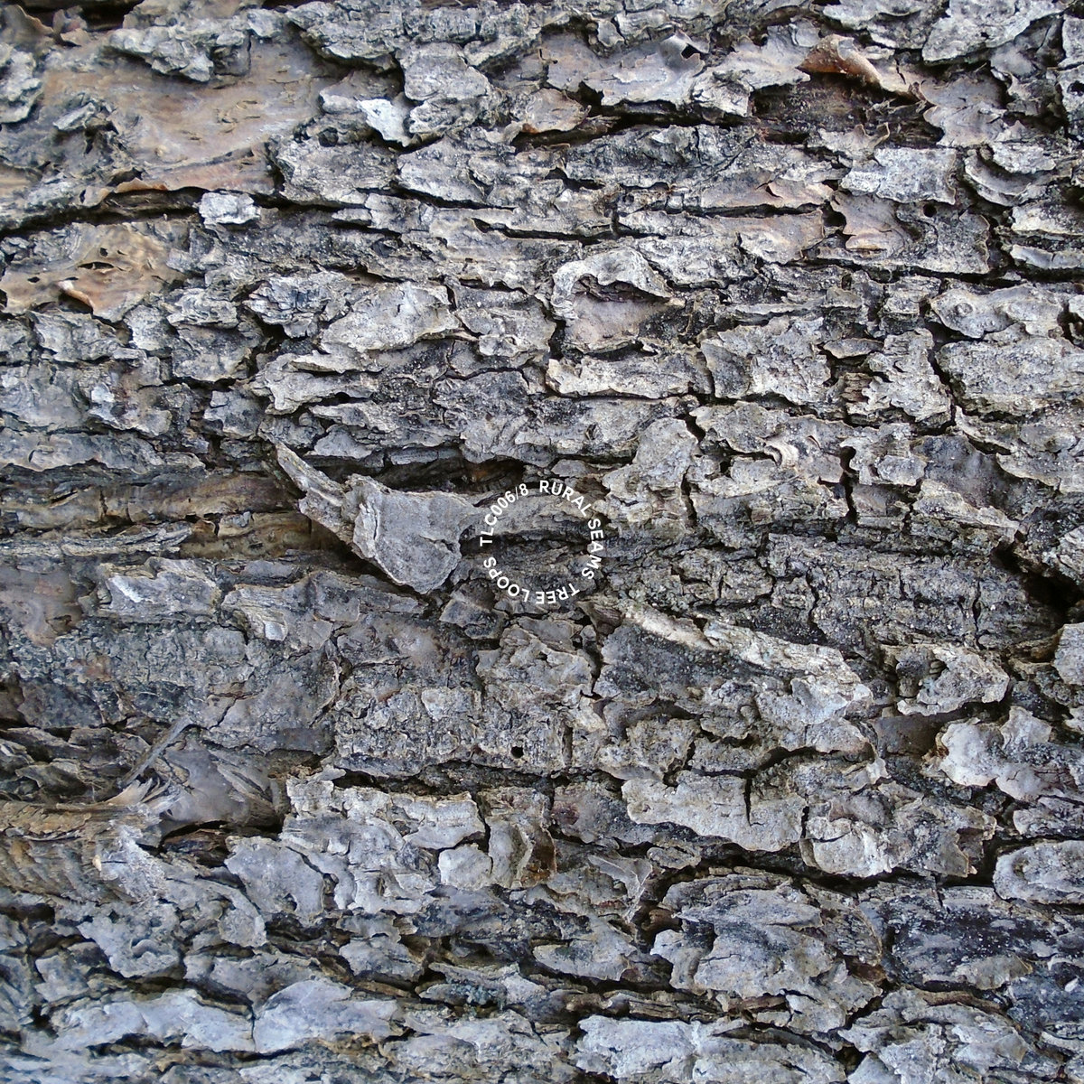 Tree Loops | Rural Seams | TapeLore