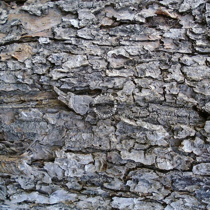 Tree Loops | Rural Seams | TapeLore