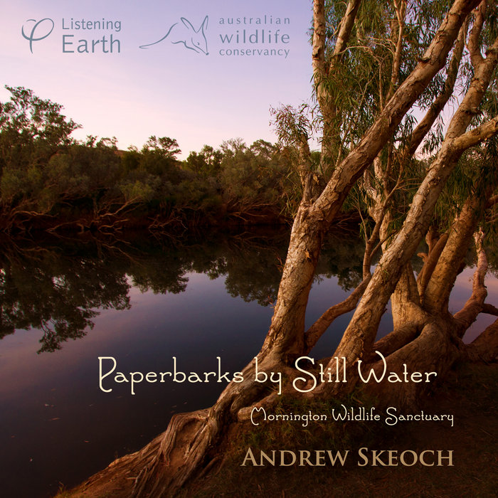 Paperbarks by Still Water | Andrew Skeoch