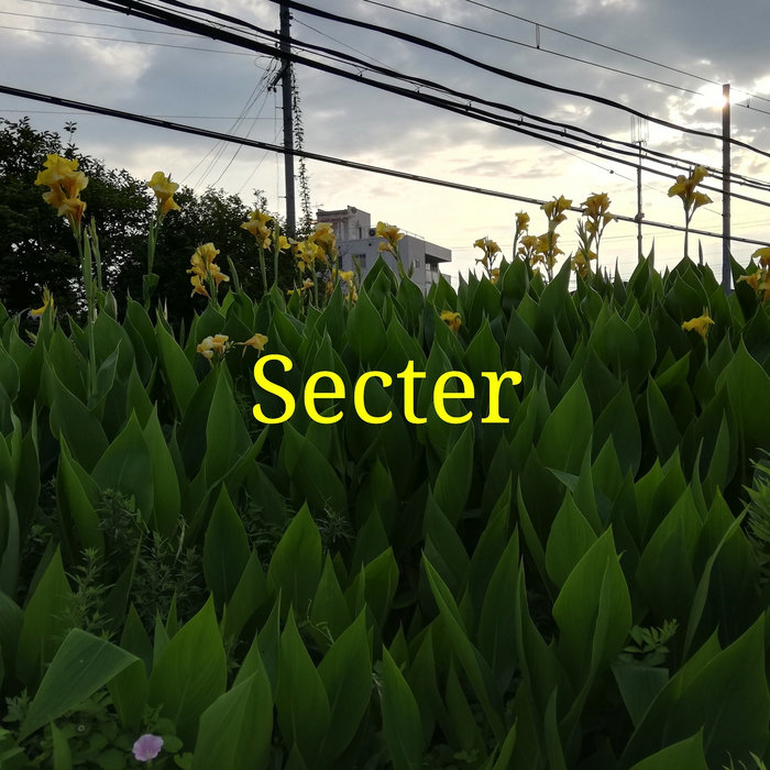 Secter | Michiru Aoyama