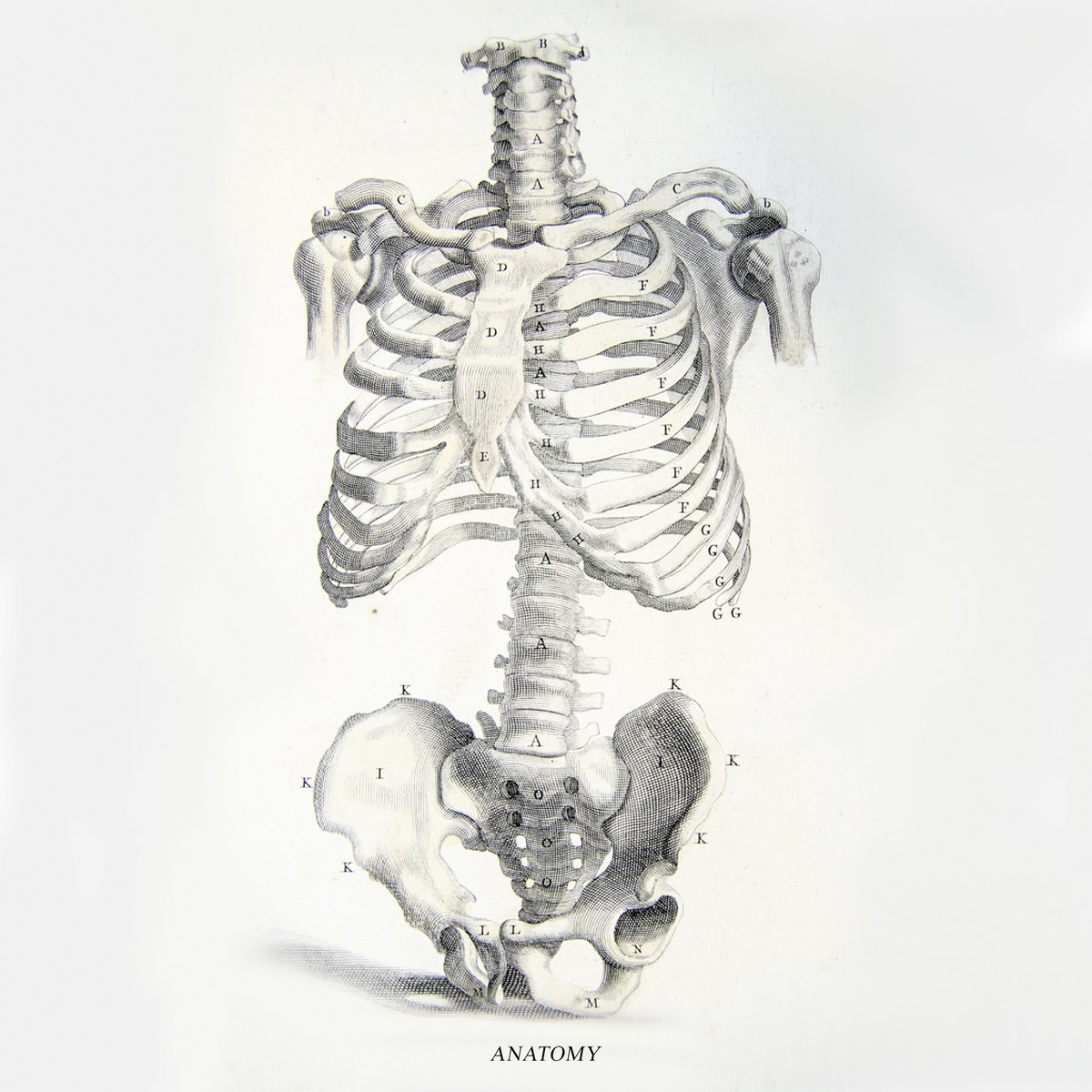 sphenoid - Single | Slow 404