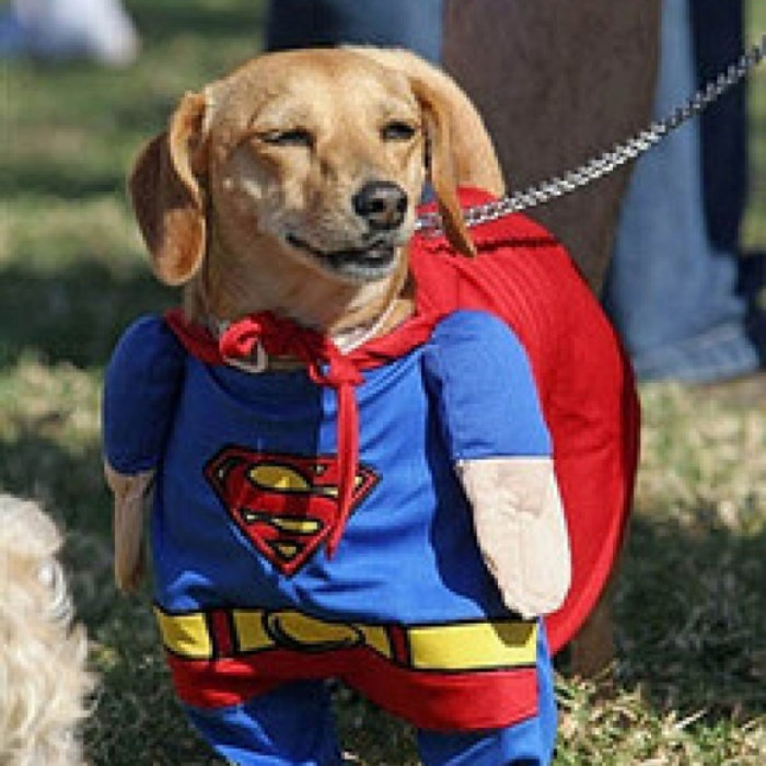 Amp Lamp Tramp Stamp Camp | Harry and the Hendersons