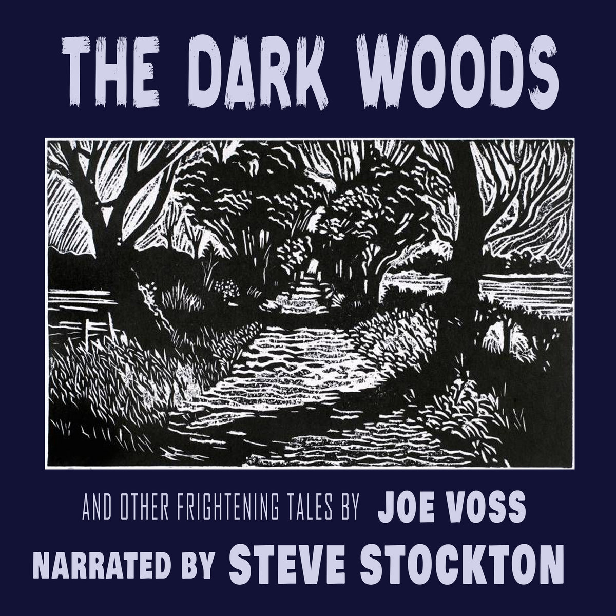 THE DARK WOODS and Other Frightening Tales | Steve Stockton