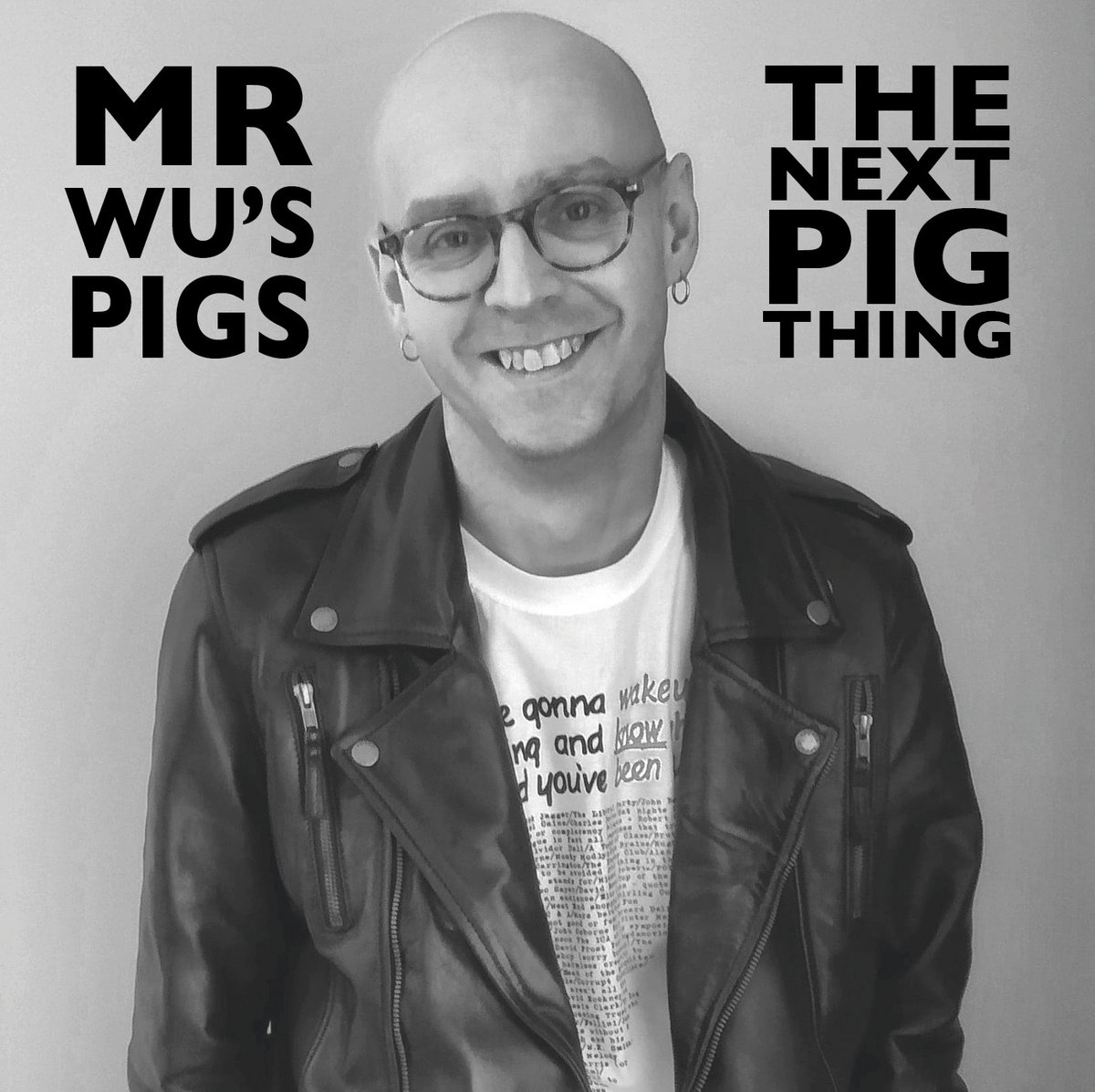 THE NEXT PIG THING [album] | Mr Wu's Pigs