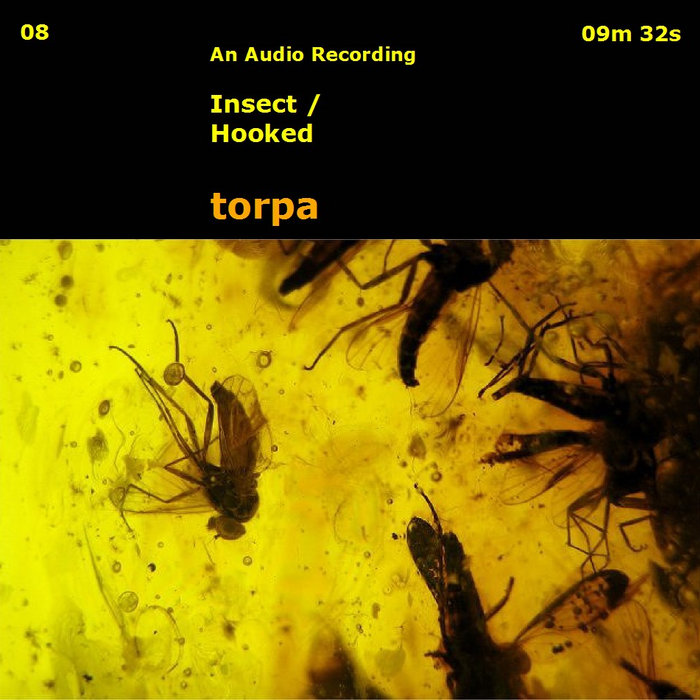 08 Insect / Hooked | Torpa