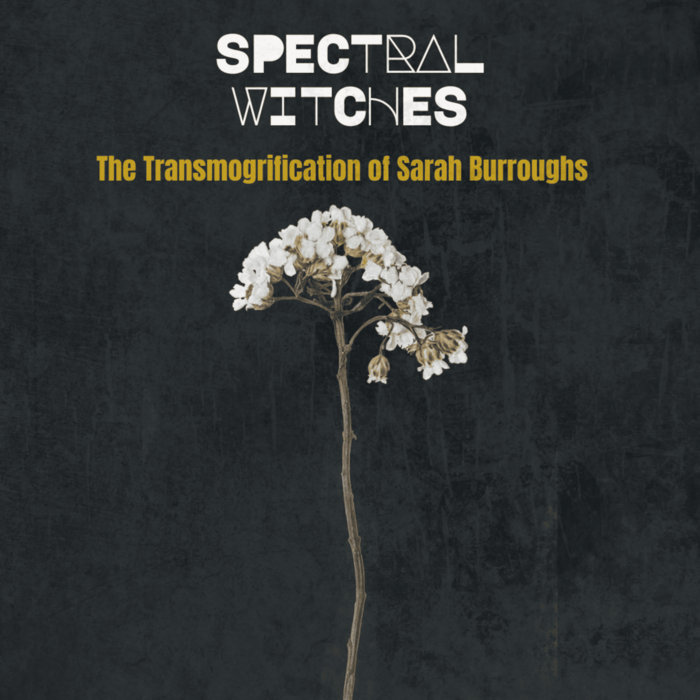 The Transmogrification of Sarah Burroughs | Spectral Witches