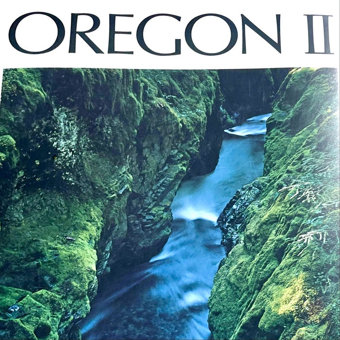 OREGON 𝐈𝐈 | US Golf 95