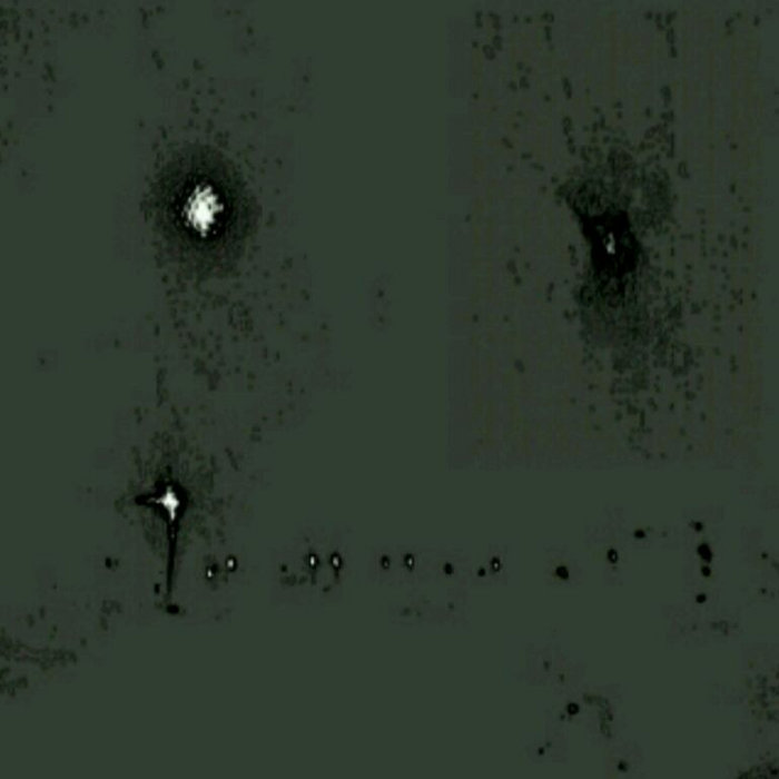 stomachs of milu | Foodeater aka lua-o-milu