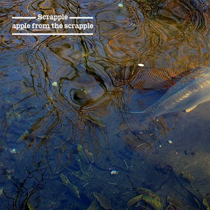 Apple From The Scrapple | Scrapple | Southern City‘s Lab