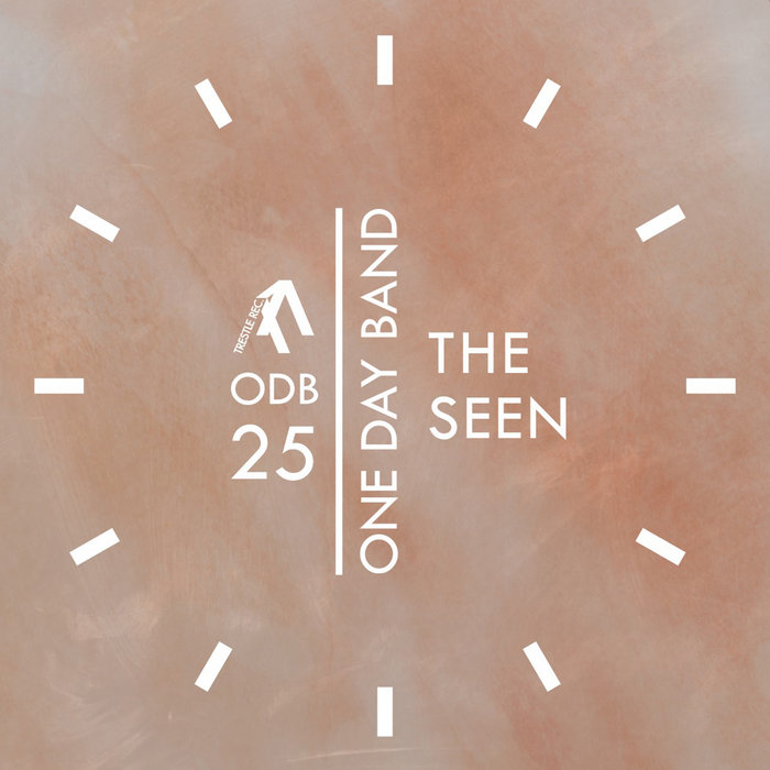One Day Band 25 | The Seen | Trestle Records