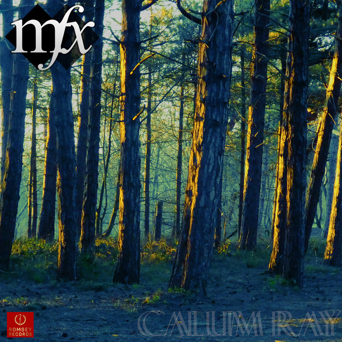 MFX | Calum Ray