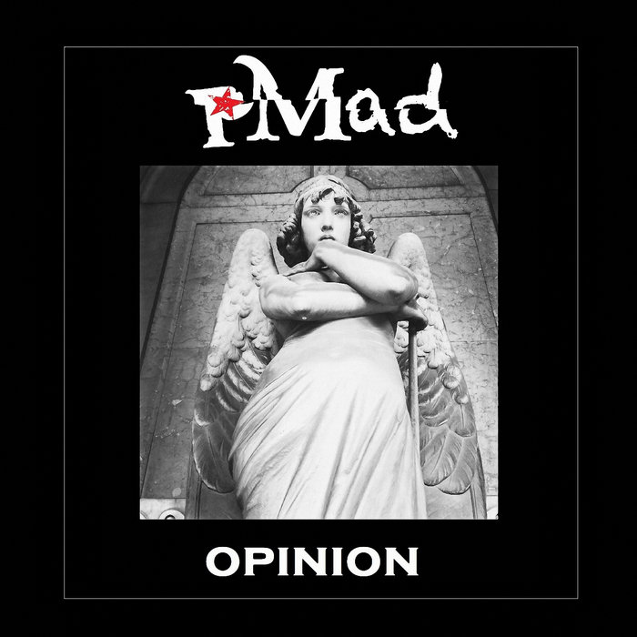 Opinion [ Single ] | pMad