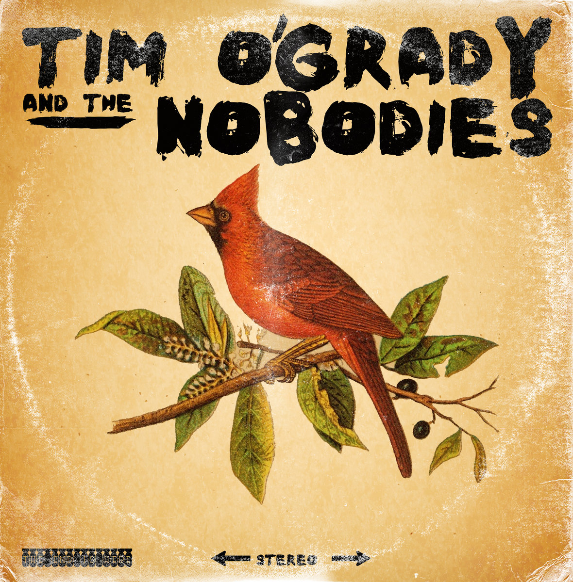 Cardinal | Tim O'Grady & The Nobodies