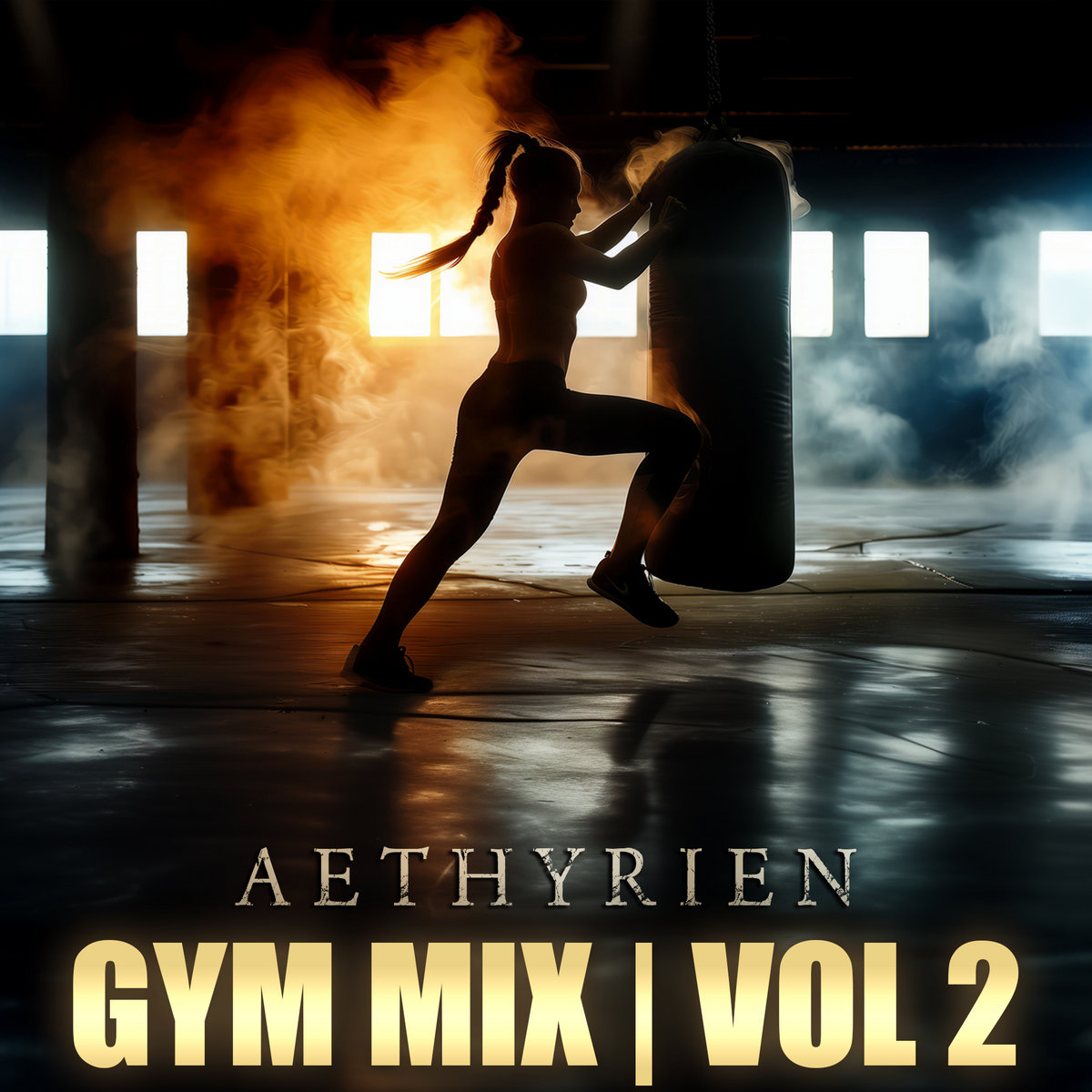 Heathen Gym Mix | Vol 2 | Aethyrien