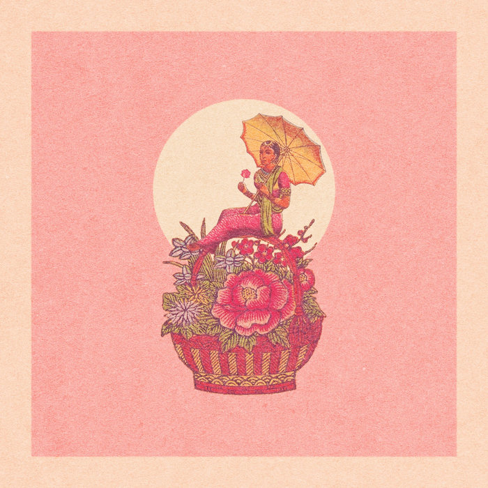 Sun Drying | Chinless Wonder