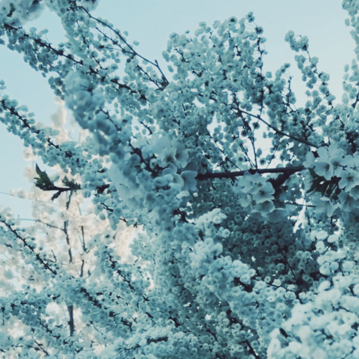Spring will come late this year | Sublee