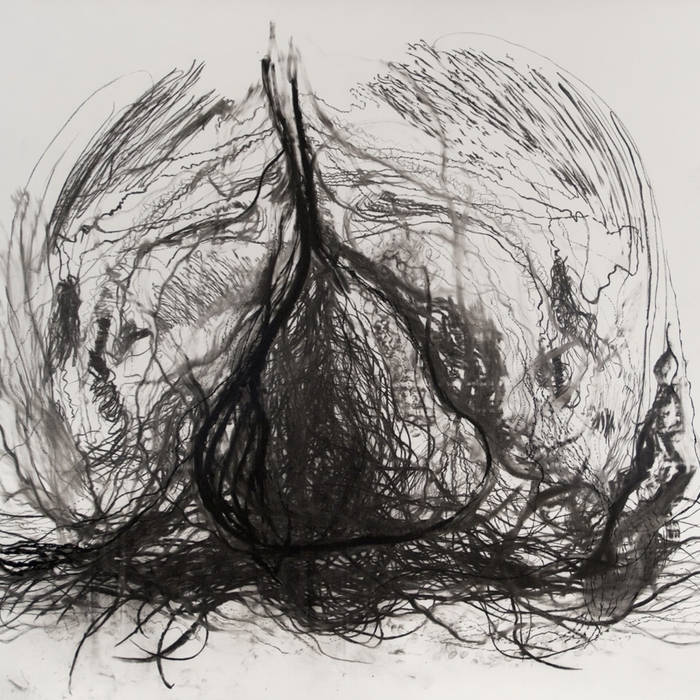 Beehive Tapes | David Birchall & Dan Bridgwood-Hill | David Birchall