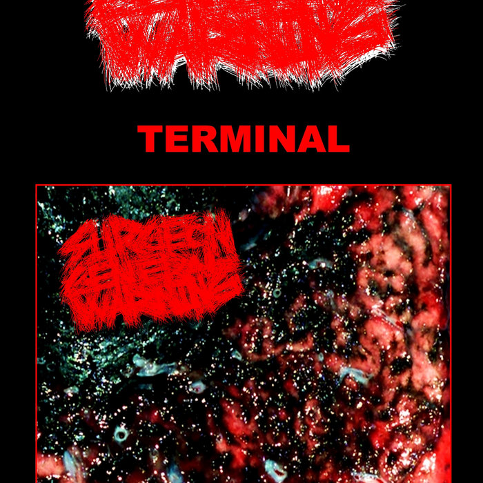 TERMINAL | SURGEON GENERAL WARNING | Mullet Death Records