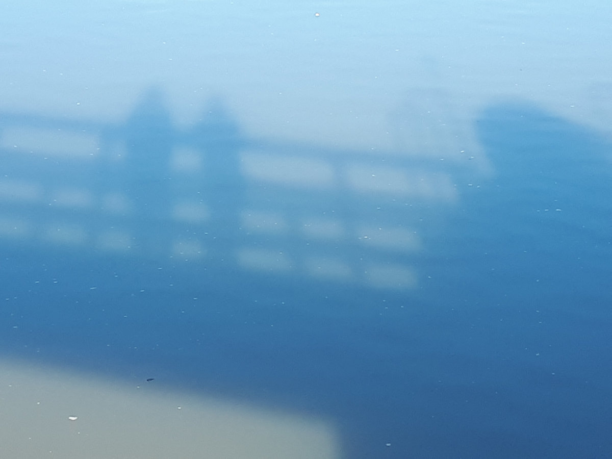 Slowly Fading Forms | Korstia