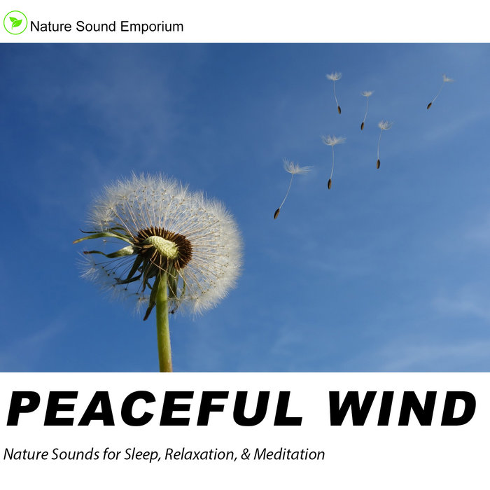 Peaceful Wind - Nature Sounds | Nature Sound Emporium