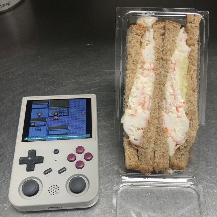 Lameboy / Lameboy (Rass Version) | Blooming Planes