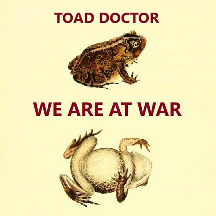 We Are At War | Toad Doctor