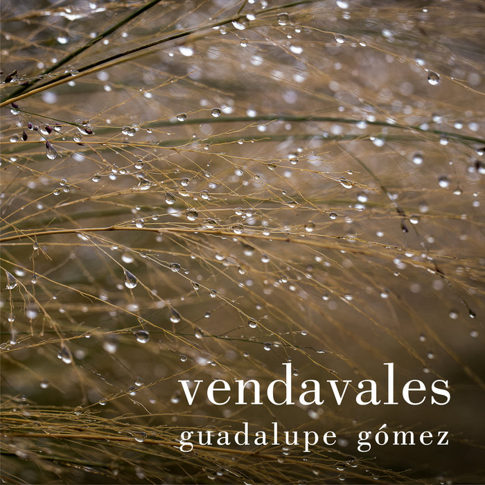 Vendavales | Guadalupe Gómez