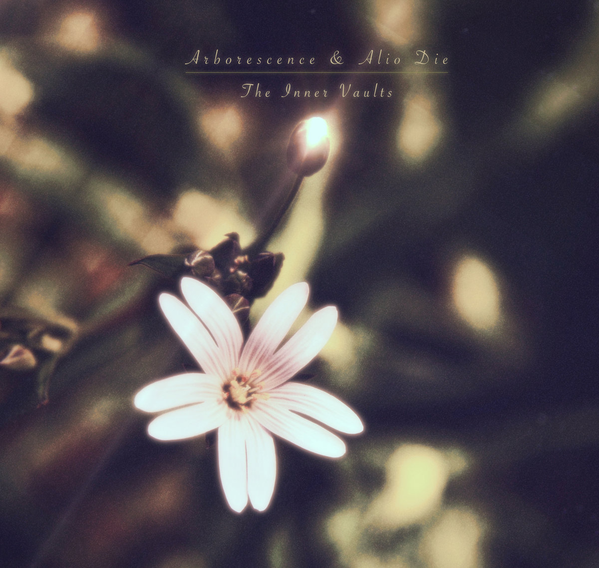 The Inner Vaults | Arborescence & Alio Die | ALIO DIE