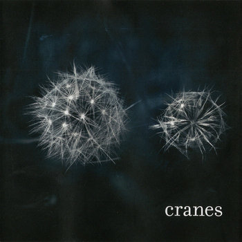 Music | cranes