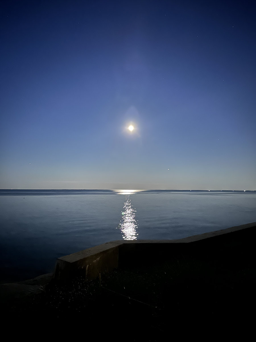 portfolio | Alex Snyder