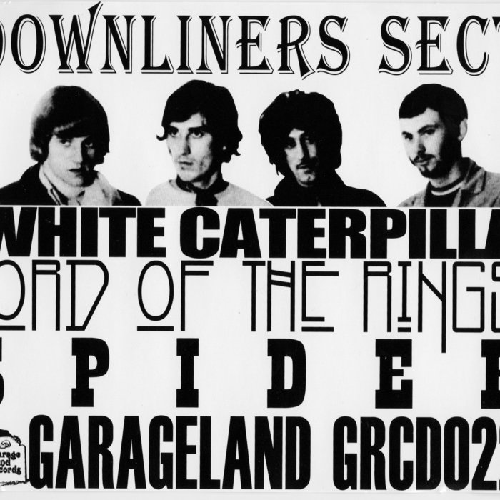 THE DOWNLINERS SECT | MISTY LANE MUSIC